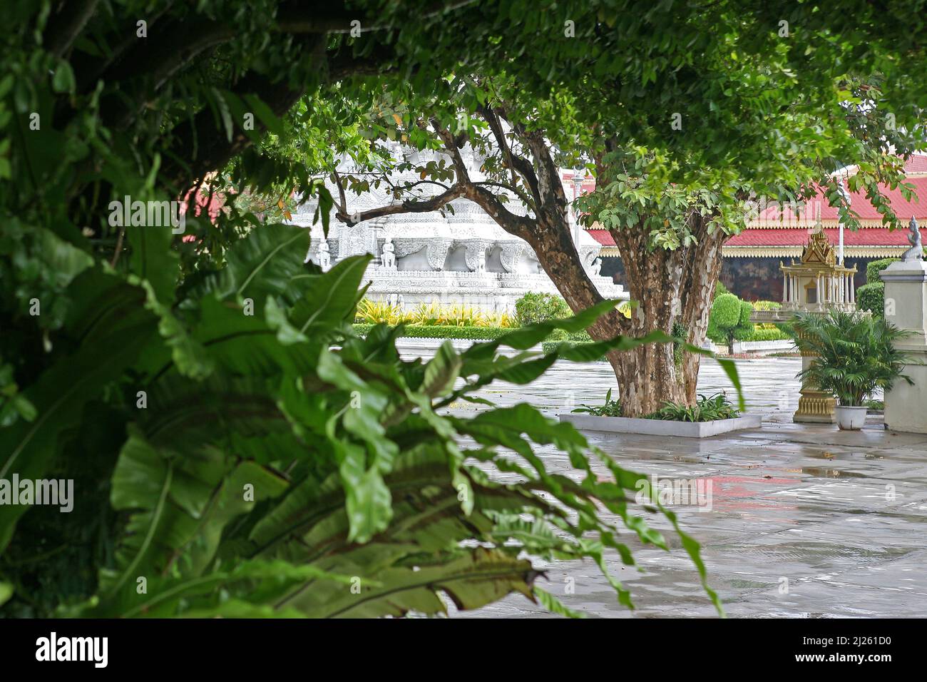Lush growth at the foot of the Phnom Mondop, a small artificial hill ...