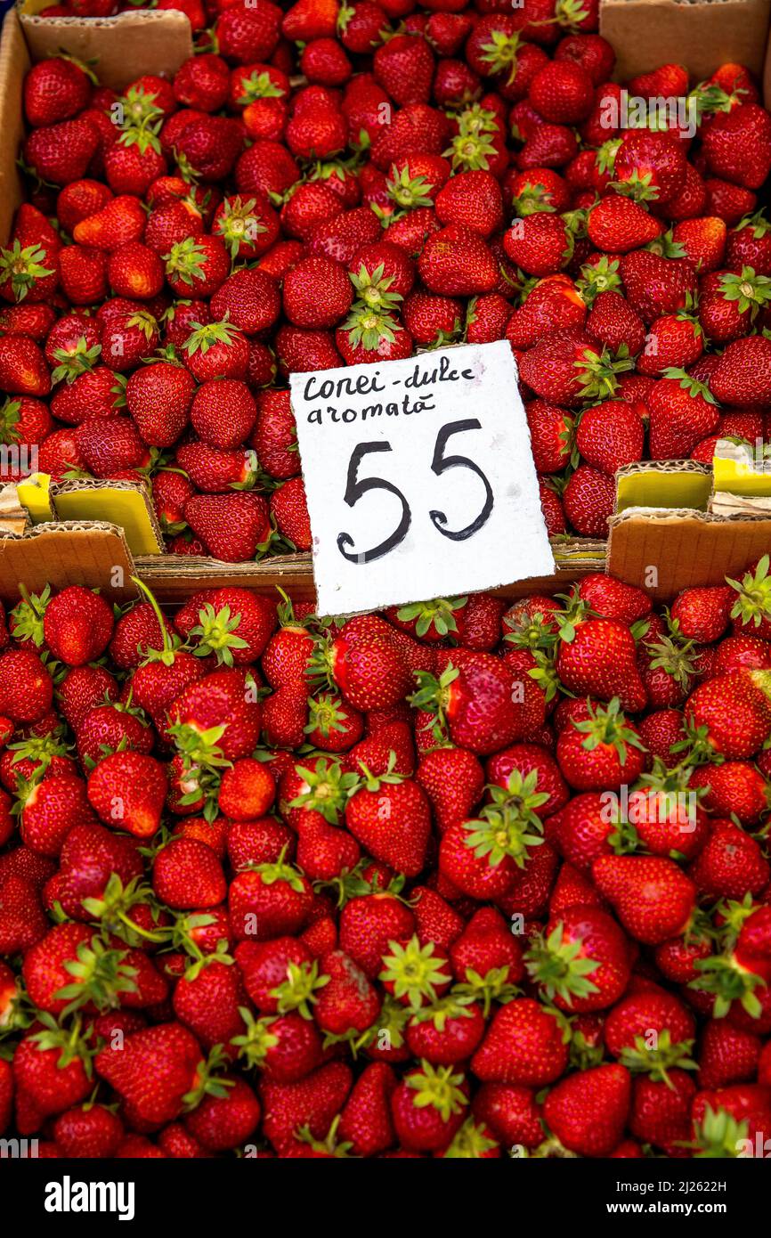Strawberries sold at Chisinau central market, Moldova Stock Photo - Alamy