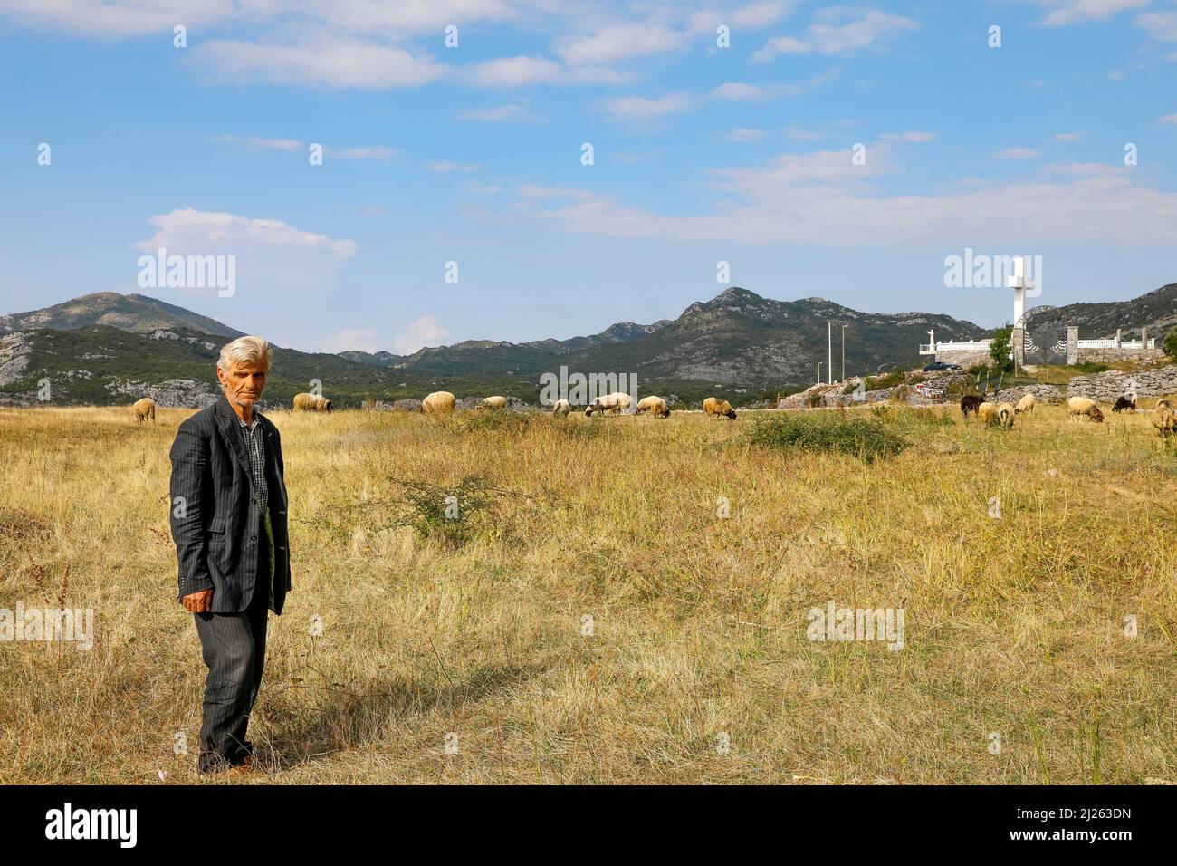 élevage adulte hi-res stock photography and images - Alamy