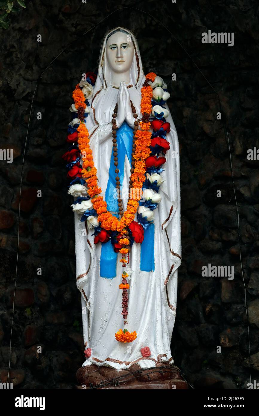 Virgin mary flower offering hi-res stock photography and images - Alamy