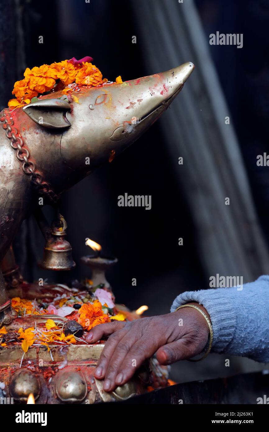 Rat ganesh hi-res stock photography and images - Alamy
