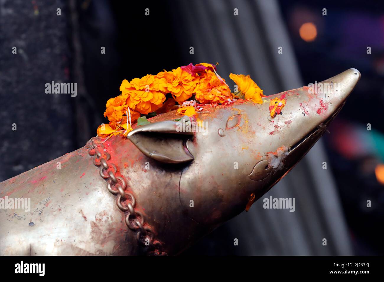 Rat ganesh hi-res stock photography and images - Alamy