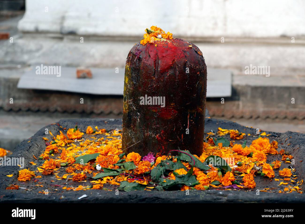 Stone shiva lingam in Hindu temple Stock Photo - Alamy