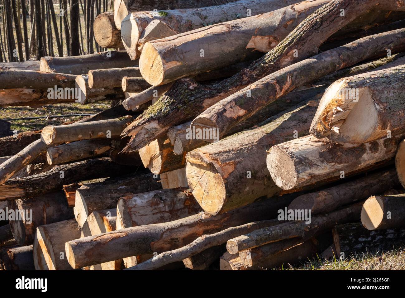 Pile of log trunks, logging timber forest wood industry Stock Photo - Alamy