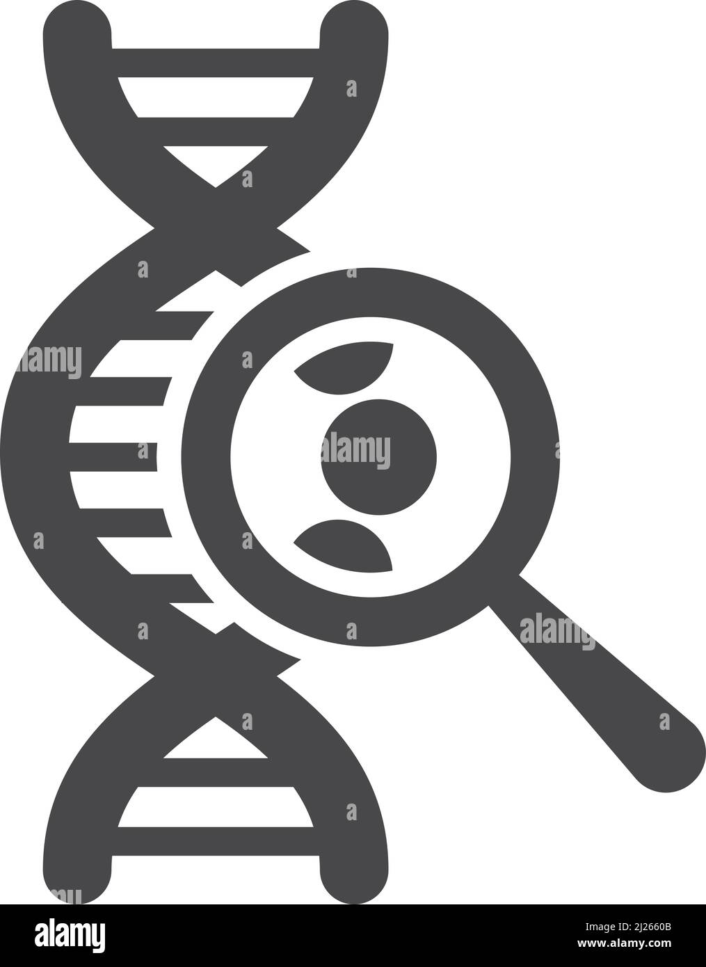 Genetic research icon. Dna molecule with magnifying glass Stock Vector ...