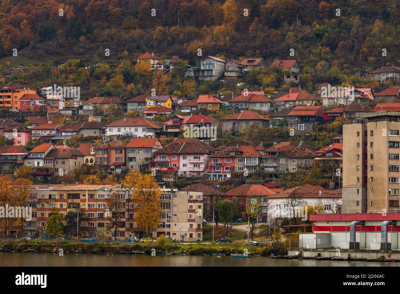 View of Danube river and Orsova city vegetation and buildings ...