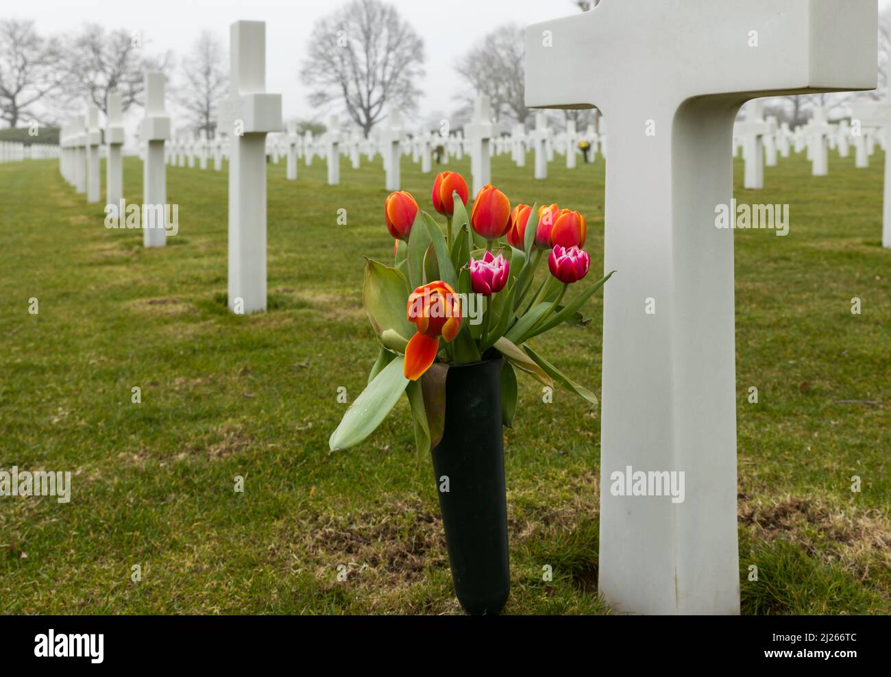 Memorial death battle ground hi-res stock photography and images - Alamy