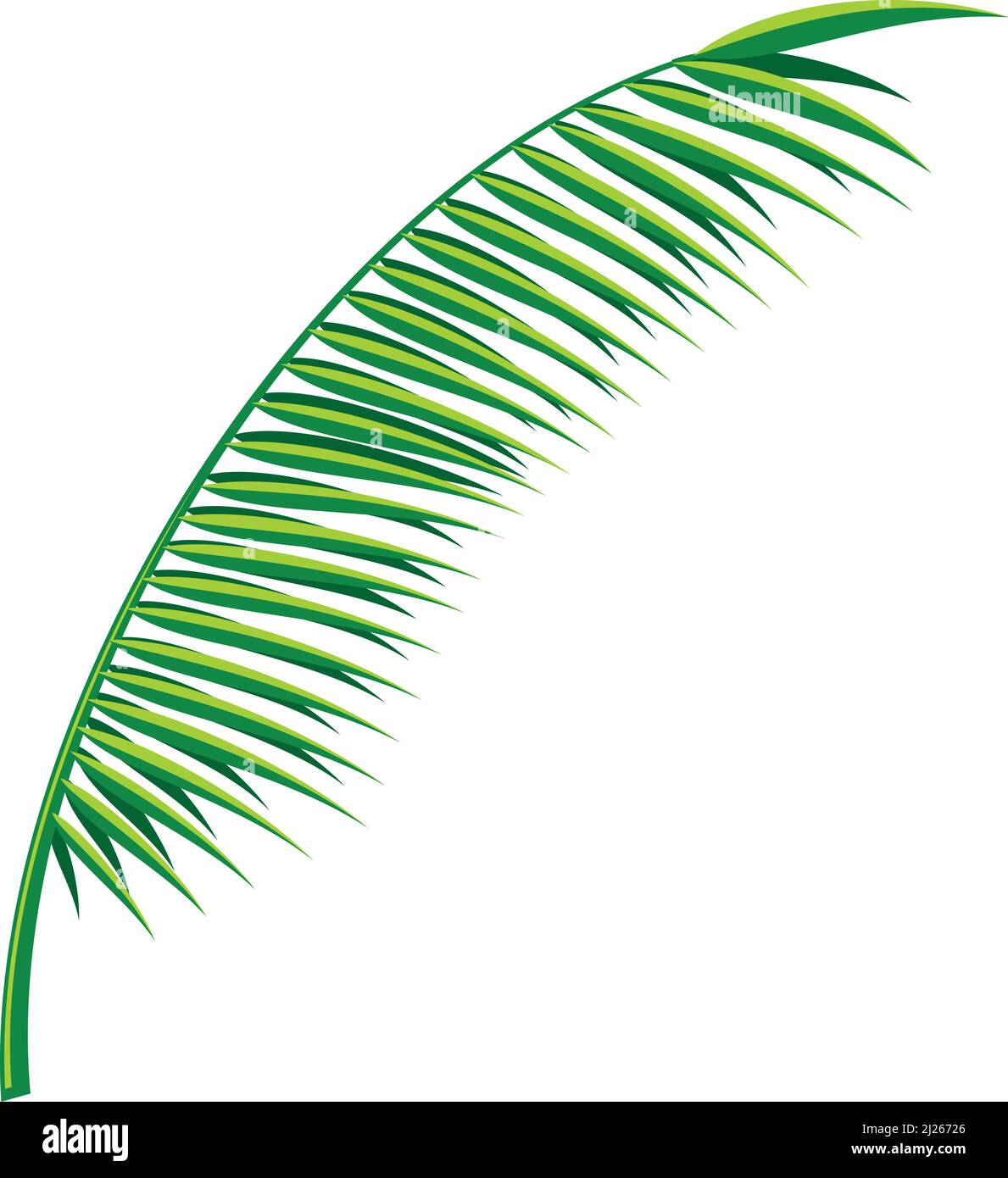 Vintage palm tree illustration Cut Out Stock Images & Pictures - Alamy