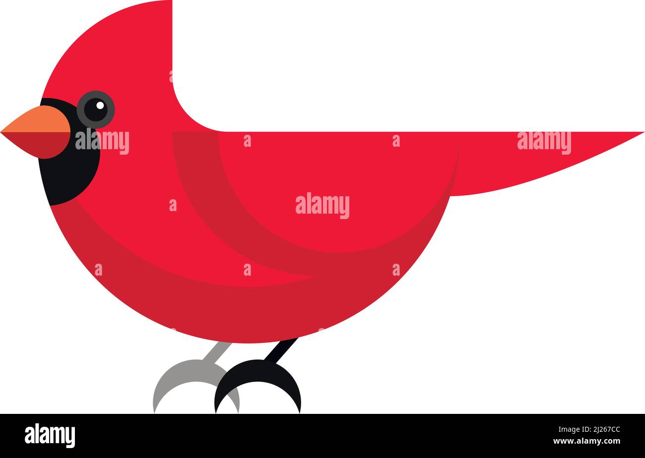 Cardinal bird cartoon vector on a white background Stock Vector Image ...