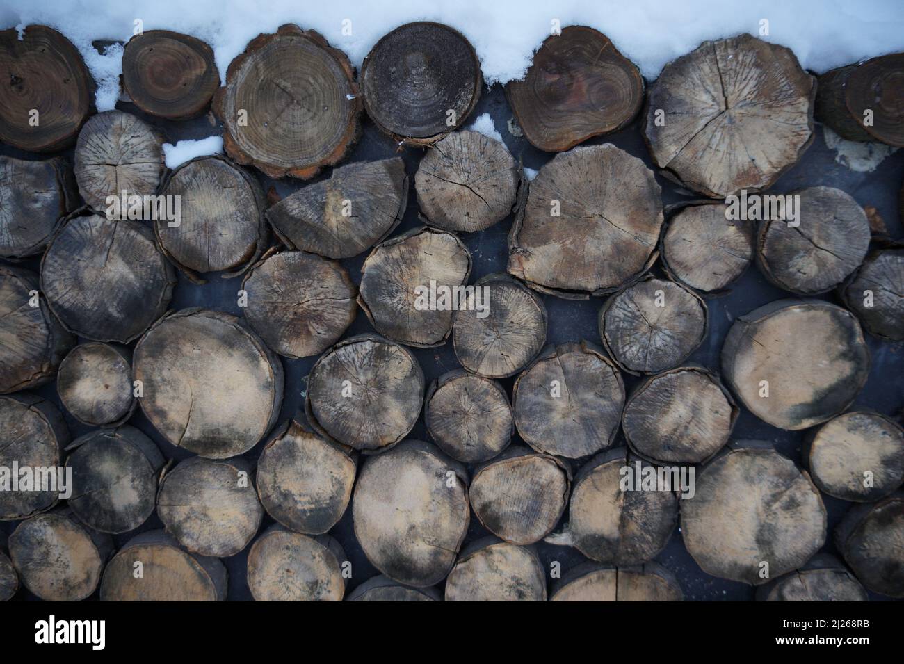 texture wood logs Stock Photo - Alamy