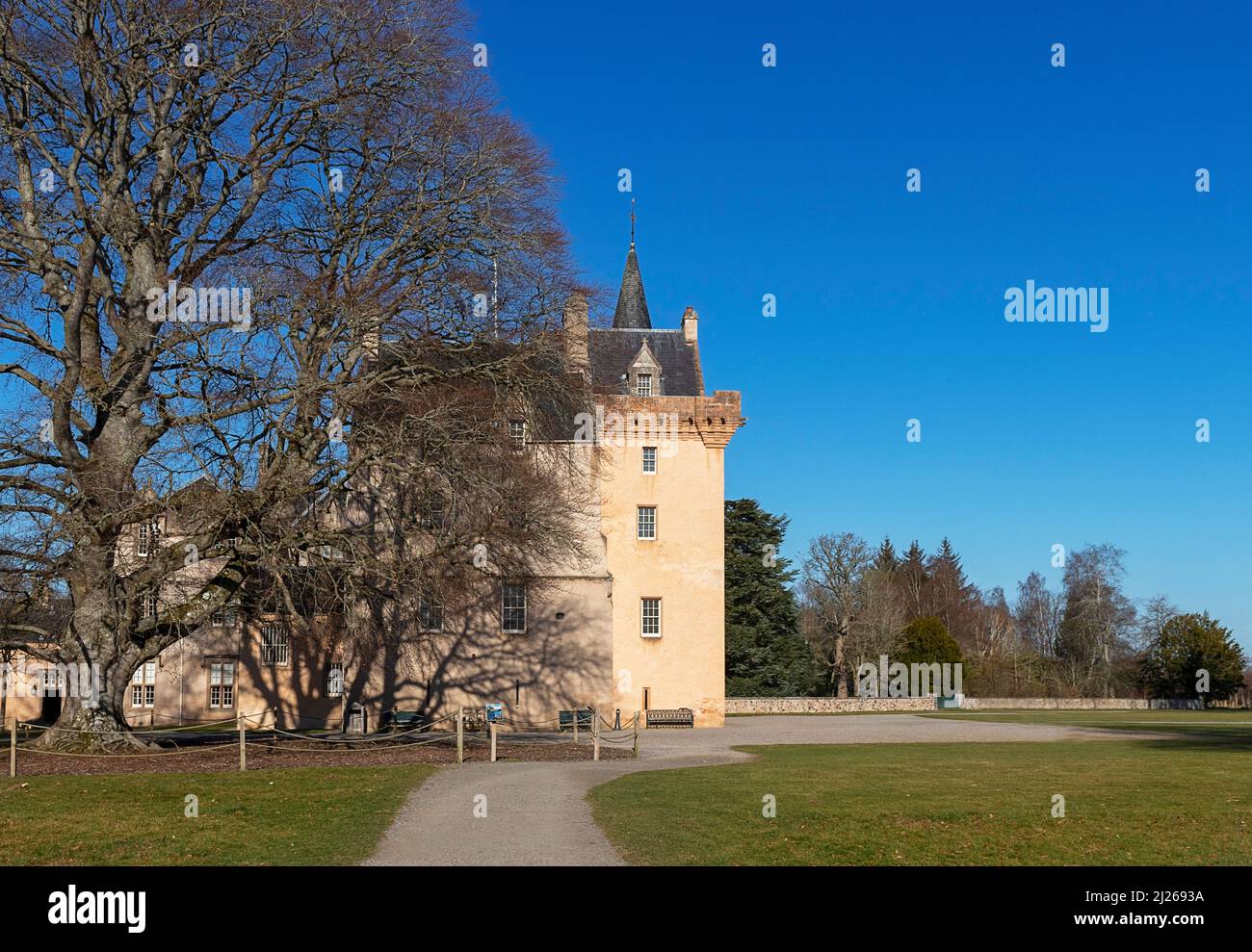 Brodie castle daffodils hi-res stock photography and images - Alamy
