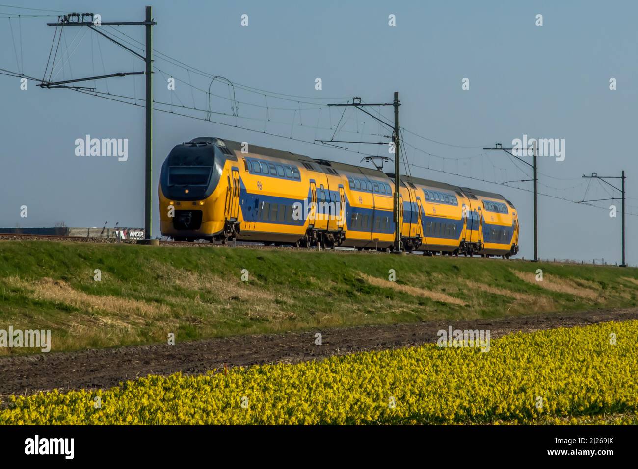 Amsterdam, Netherlands, march 2022. Dutch train in the landscape and in ...