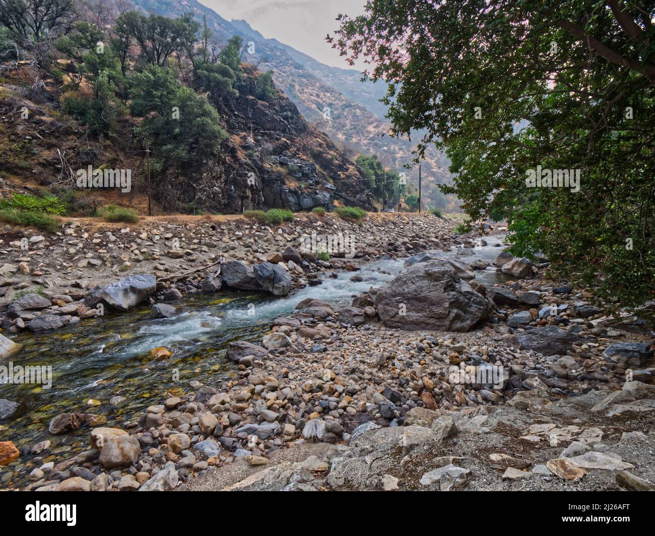 A view of rocky stream surrounded by trees in background of mountains ...