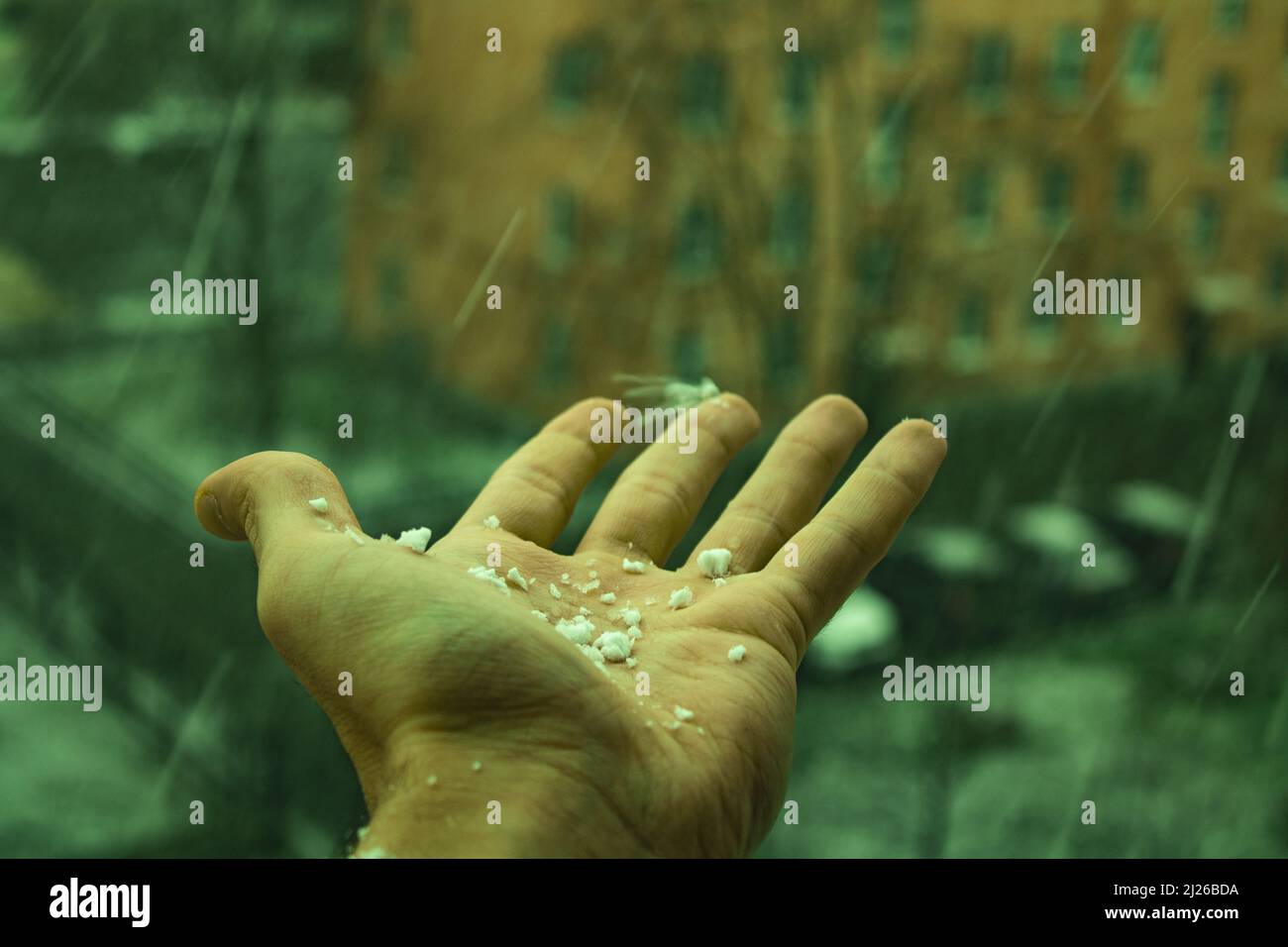 A close-up of a man's hand under the hail Stock Photo - Alamy
