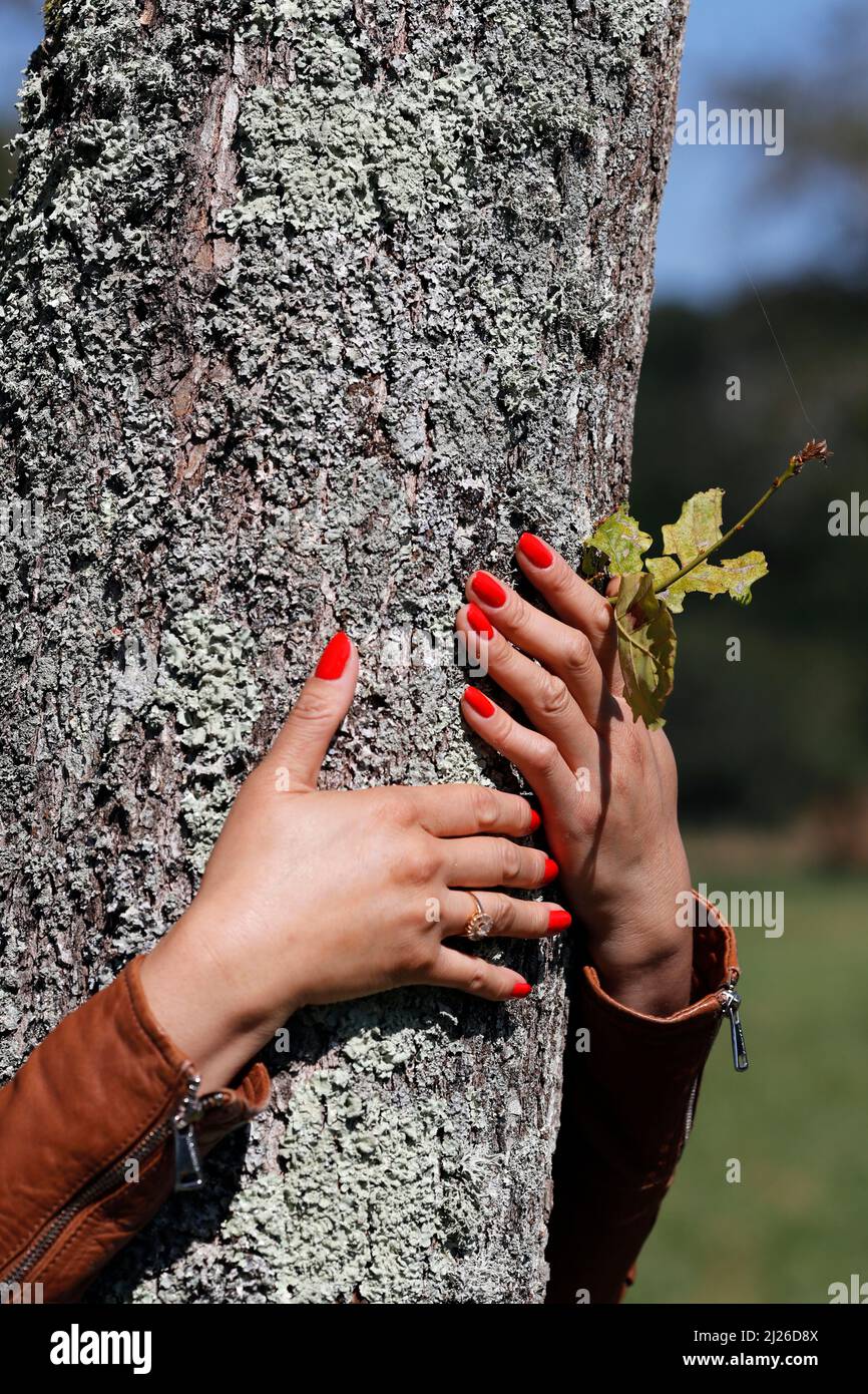 Womans hand on tree hi-res stock photography and images - Alamy