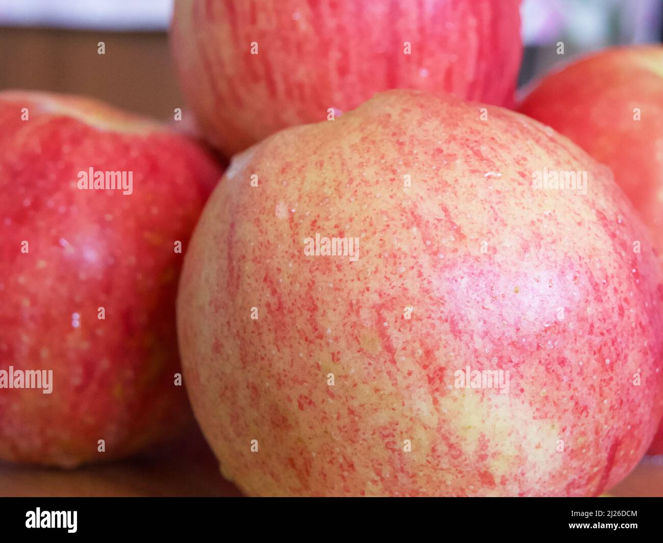 Several apples of the gala and Ligol varieties, a close-up shot Stock ...