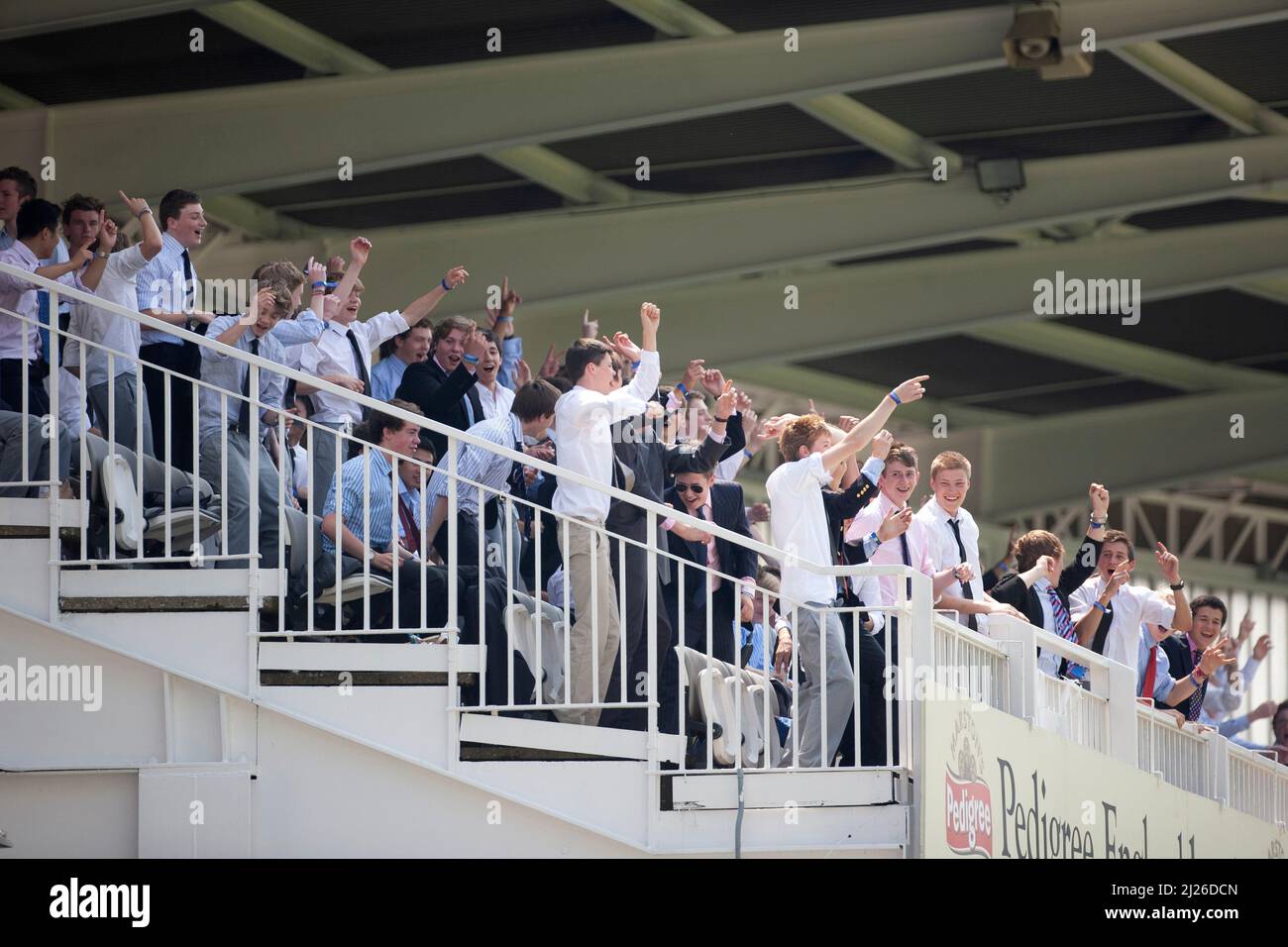 School cricket team hi-res stock photography and images - Alamy