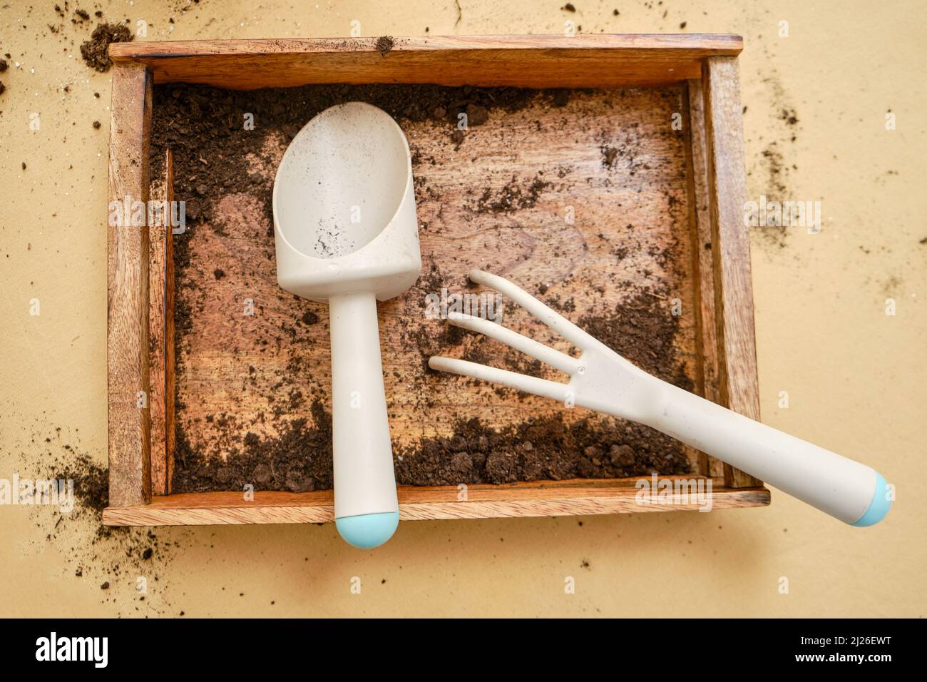 Tools for working with soil in the home garden and plant care, close-up ...