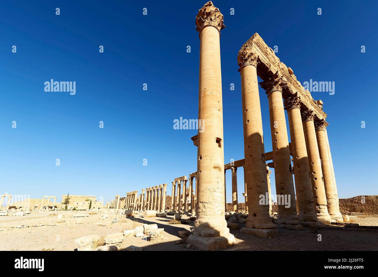 Syria. The ancient city of Palmyra. Temple of Bel Stock Photo - Alamy