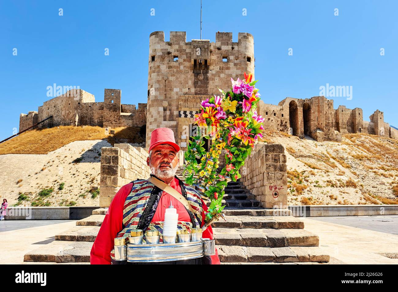 Syria flower hi-res stock photography and images - Alamy