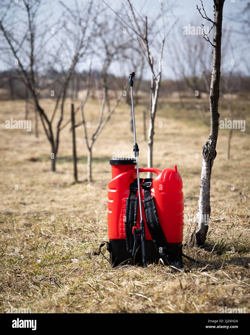 Red sprayer in spring garden. Gardening agriculture concept Stock Photo ...