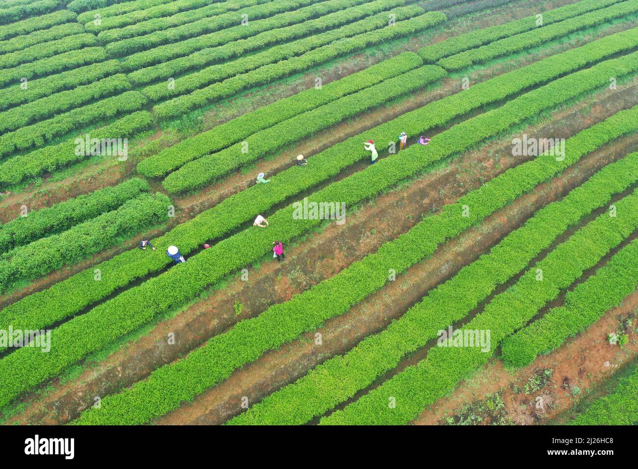 (220330) -- SHANGLIN, March 30, 2022 (Xinhua) -- Aerial photo taken on ...