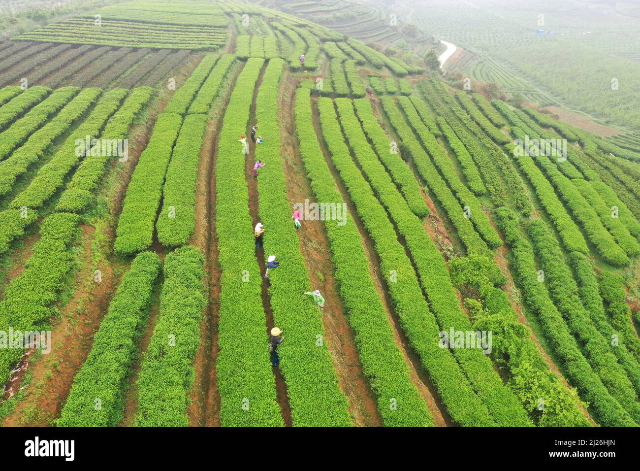 Shanglin garden hi-res stock photography and images - Alamy