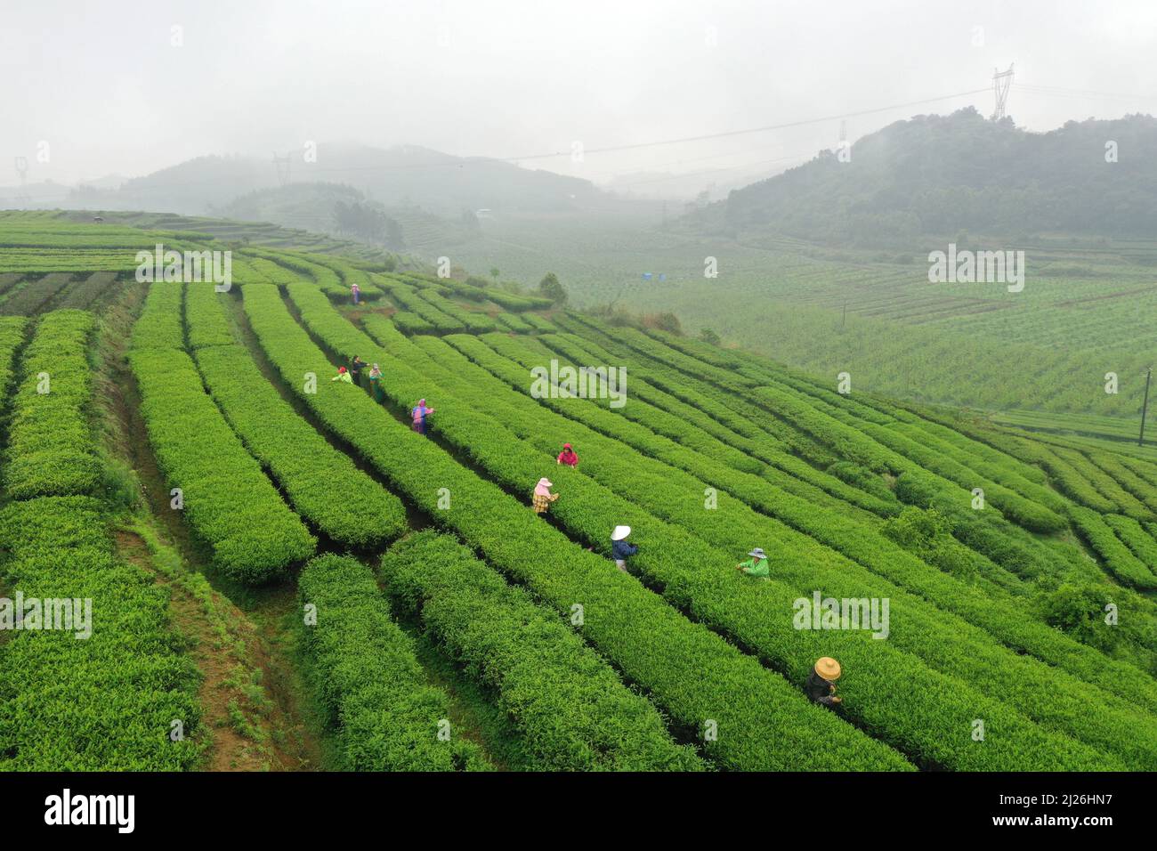 Shanglin garden hi-res stock photography and images - Alamy