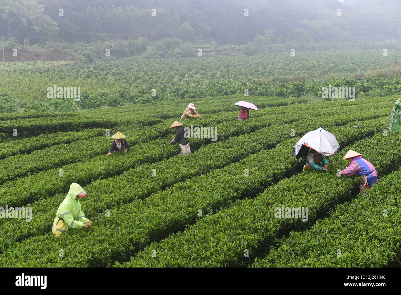 Shanglin garden hi-res stock photography and images - Alamy