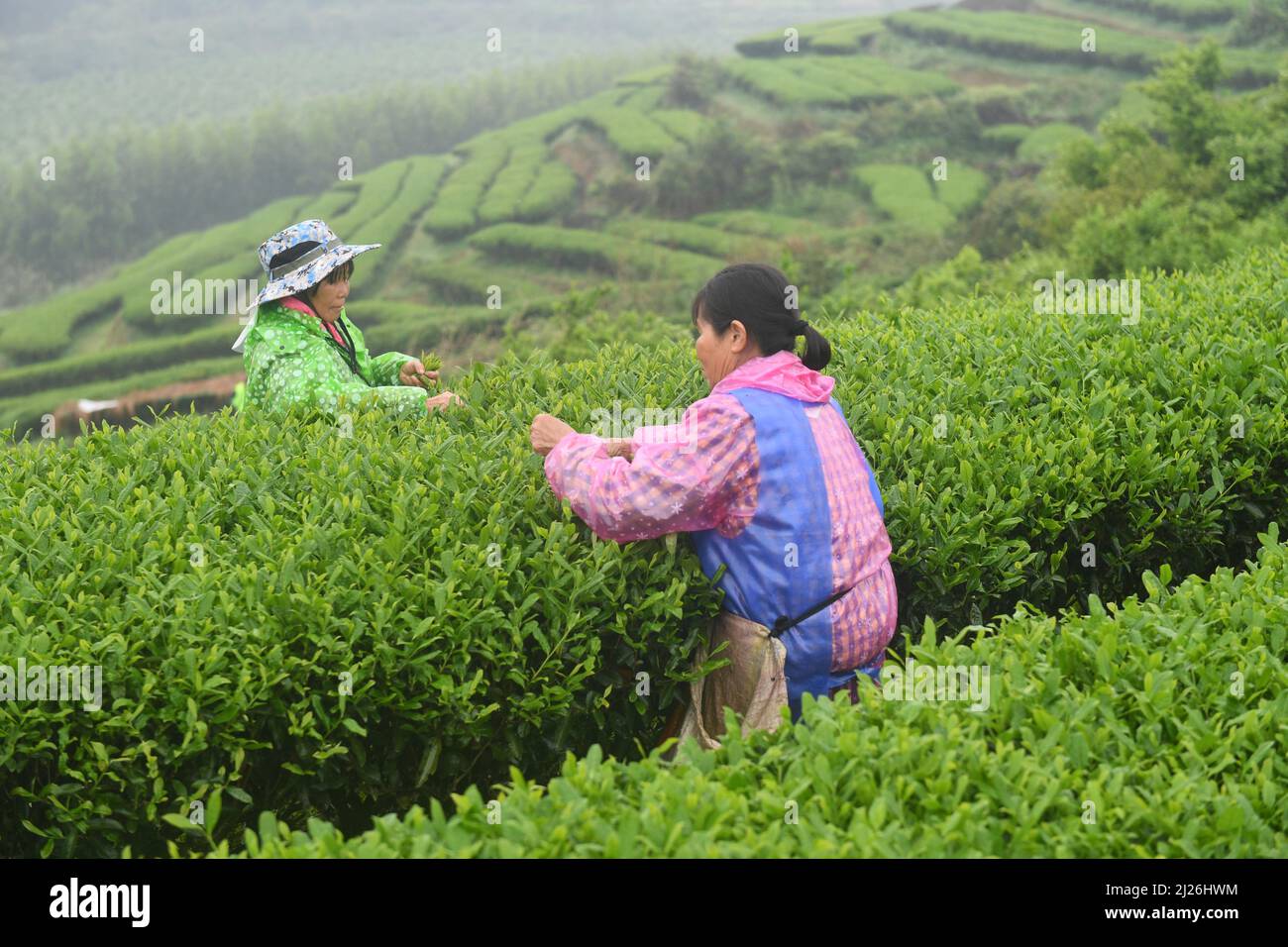 Shanglin garden hi-res stock photography and images - Alamy