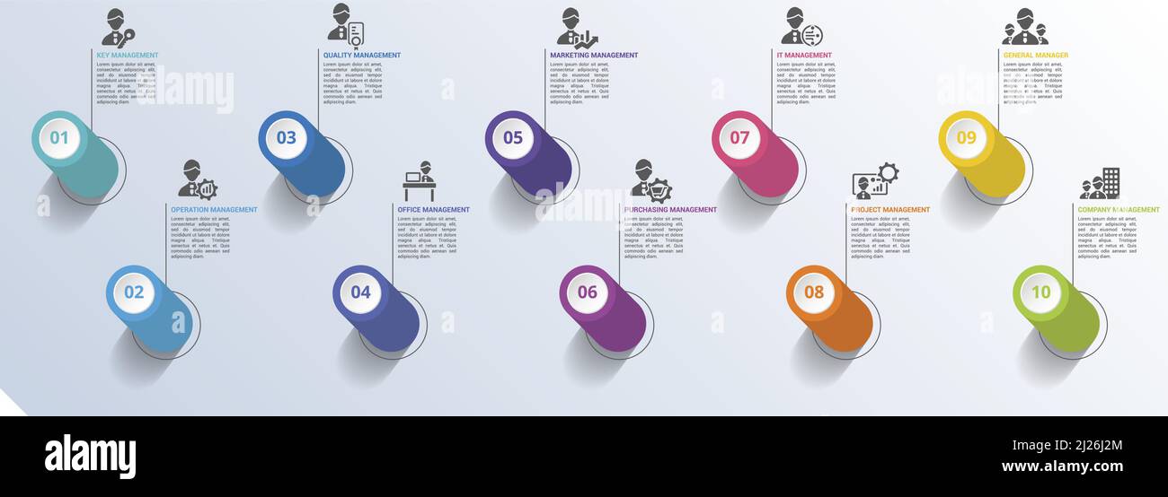 Infographic Company Management icons vector illustration. 10 colored ...
