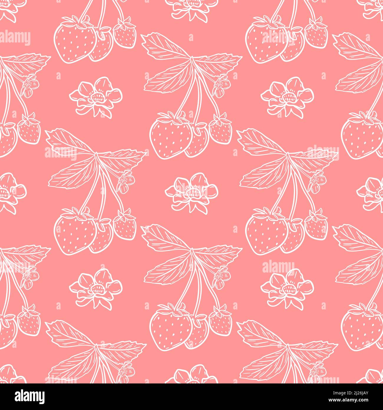 Leaf model white background Stock Vector Images - Alamy