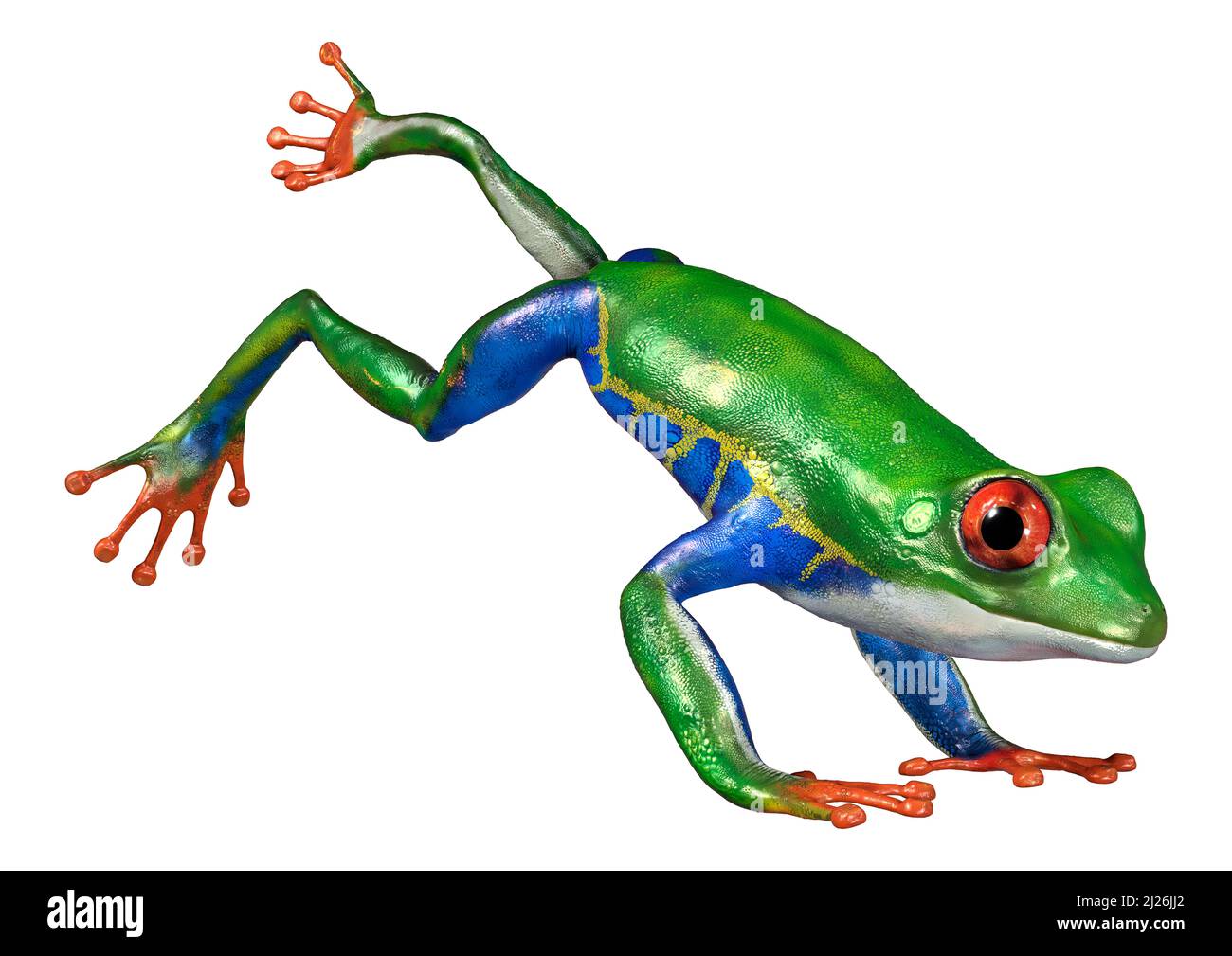 3D rendering of an Amazon tree frog isolated on white background Stock ...