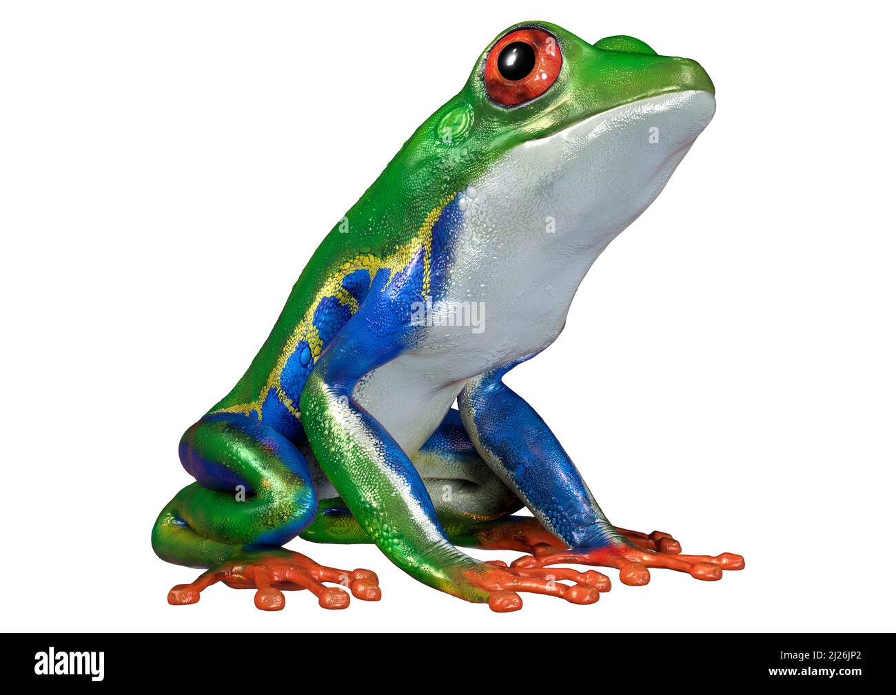 3D rendering of an Amazon tree frog isolated on white background Stock ...