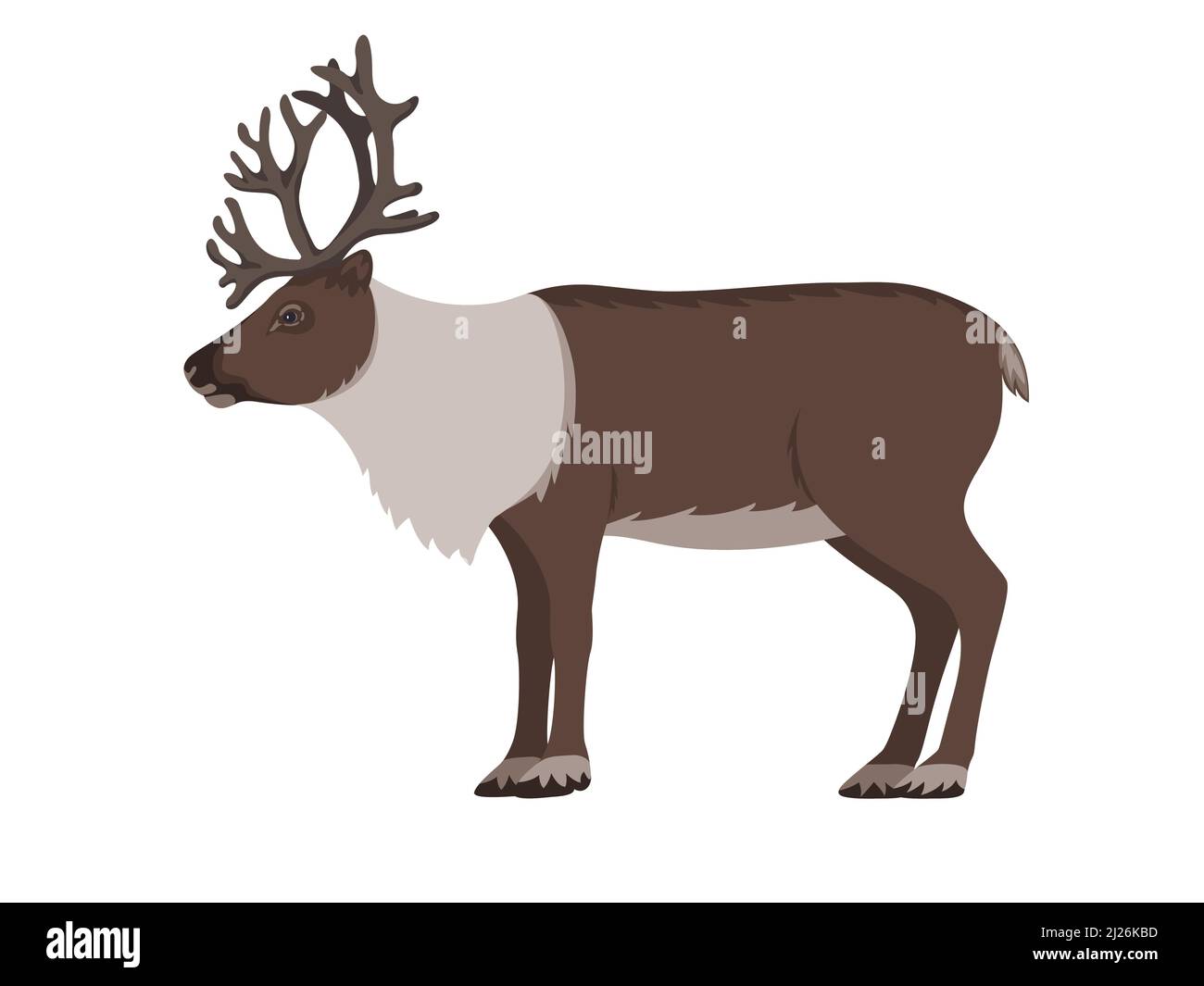 Arctic caribou Stock Vector Images - Alamy