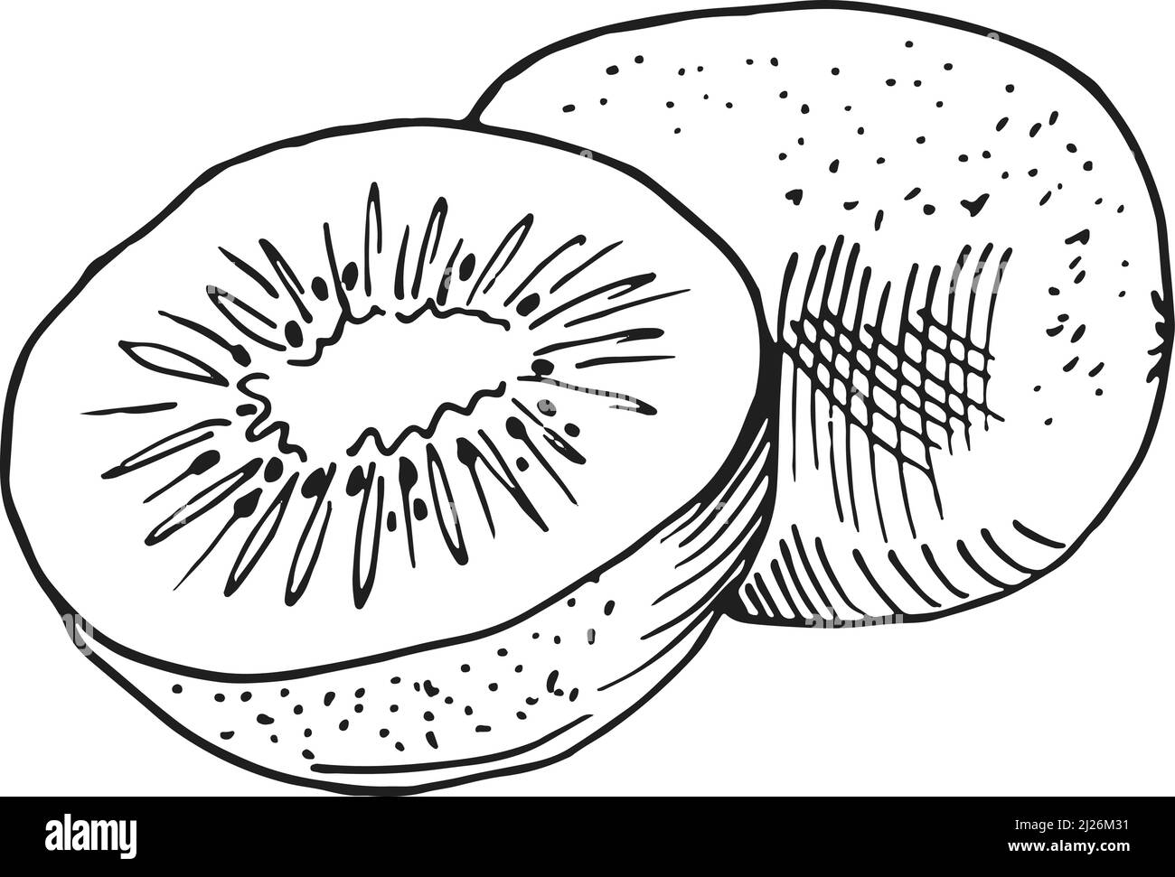 Cute kiwi half Stock Vector Images - Alamy