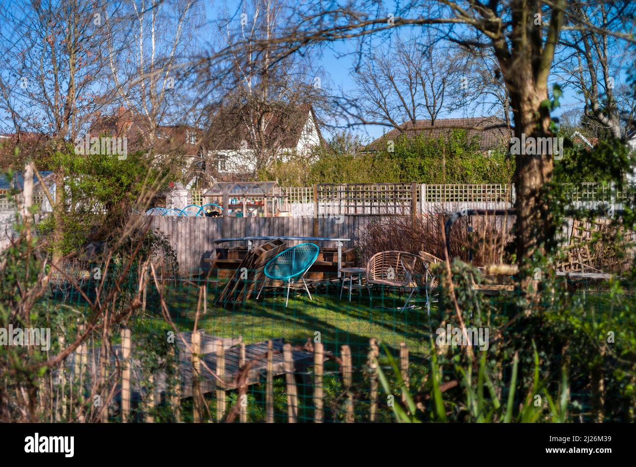 view of neighbour's suburban garden over the fence on a Spring Summer ...