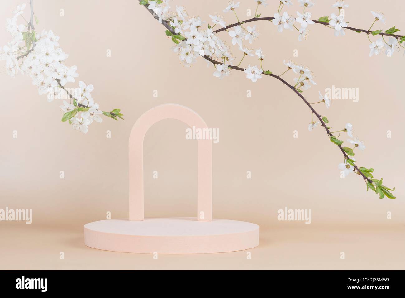 Podium platform for product presentation and spring flowering tree ...