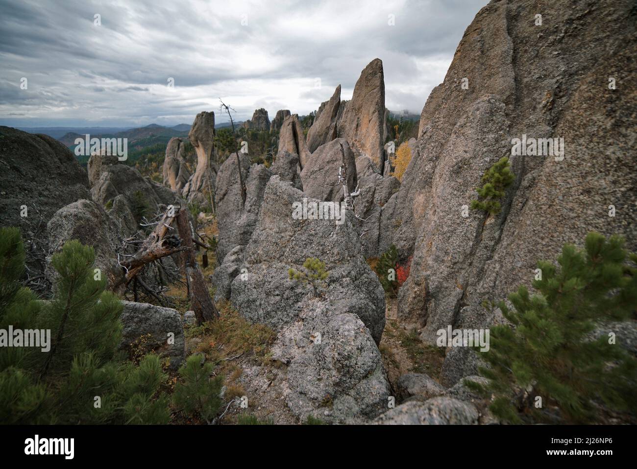 Custer state park landmark hi-res stock photography and images - Alamy