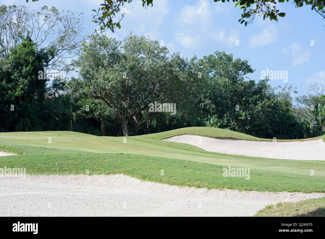 Tropical golf course with sand bunkers against the blue sky in Mexico ...