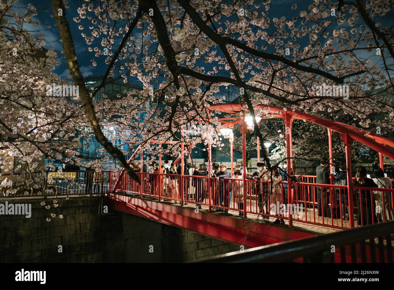 Tokyo japan march 30 2022 hi-res stock photography and images - Alamy