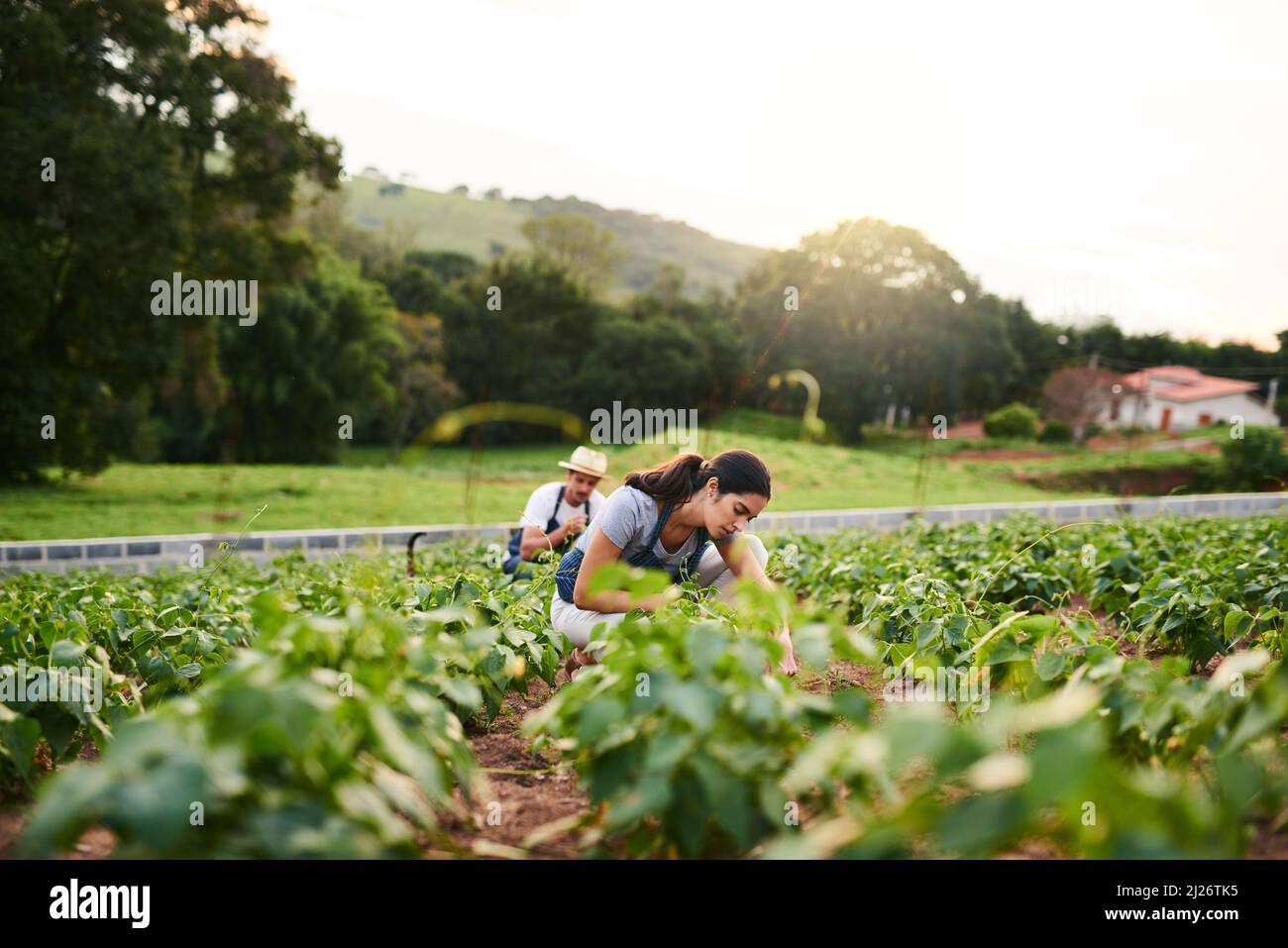 Teamwork makes the green work. Shot of an attractive young woman ...