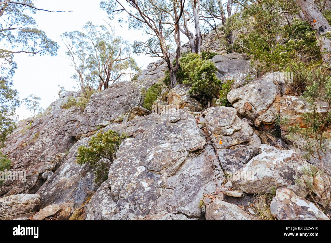 Wells cave track hi-res stock photography and images - Alamy
