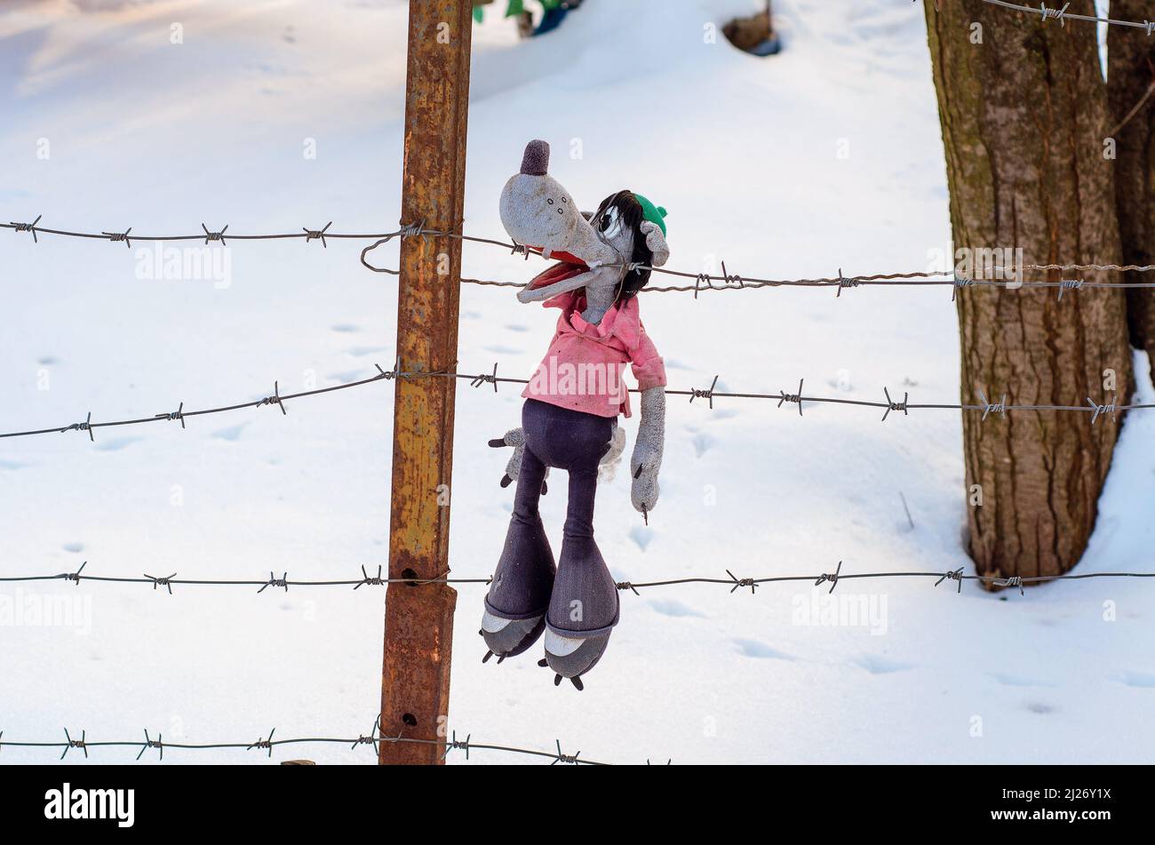 Barbed wire strand war hi-res stock photography and images - Alamy