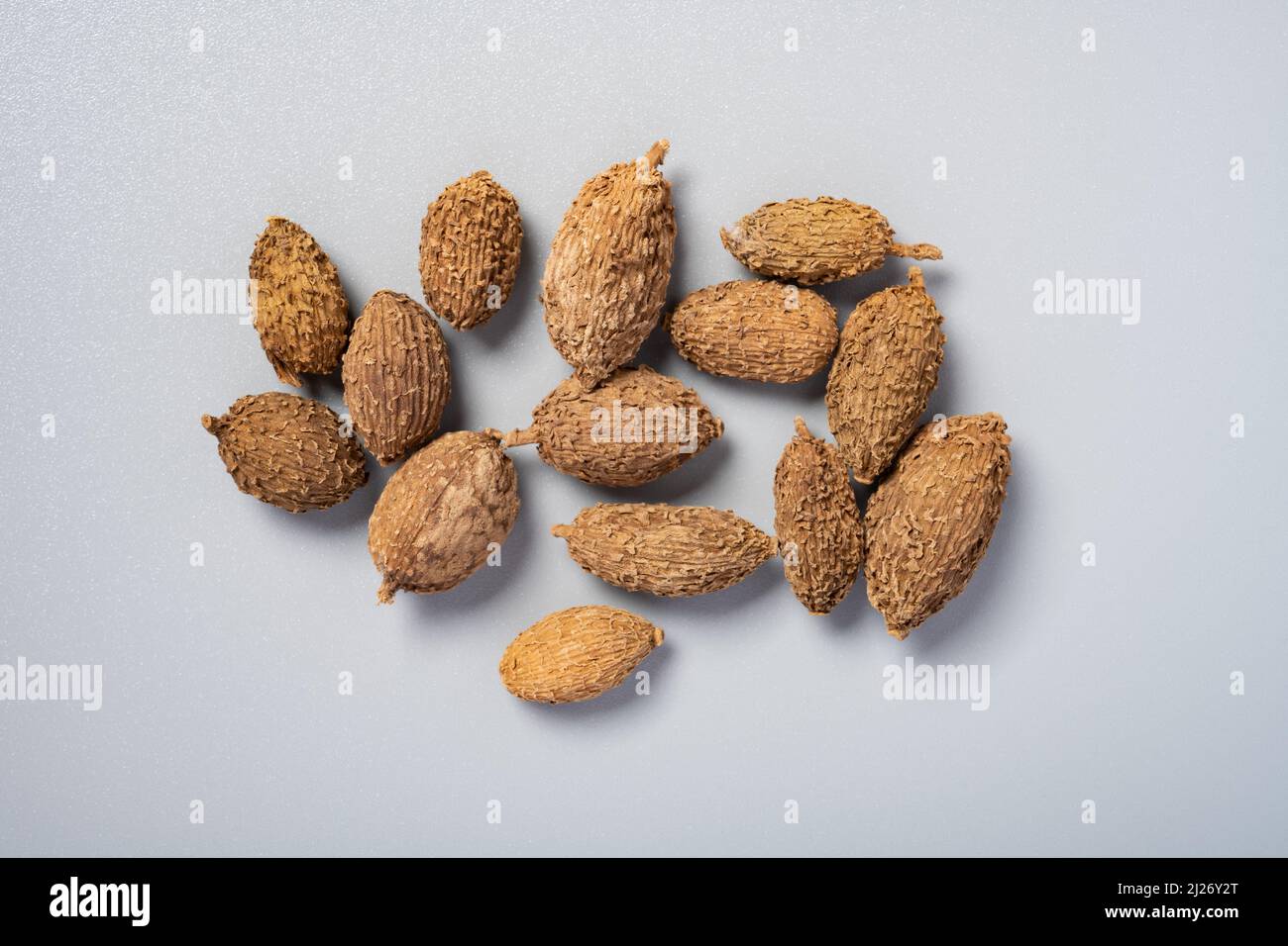 Villous amomum fruit hi-res stock photography and images - Alamy