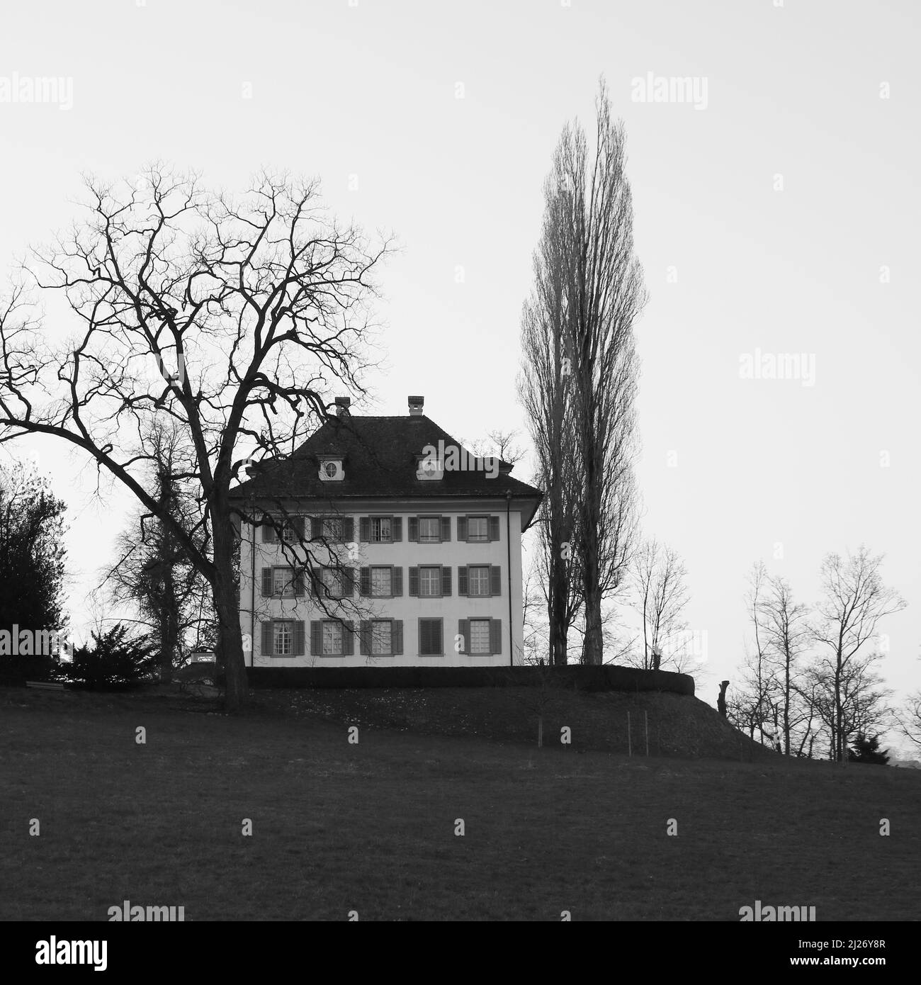Richard wagner museum switzerland hi-res stock photography and images ...