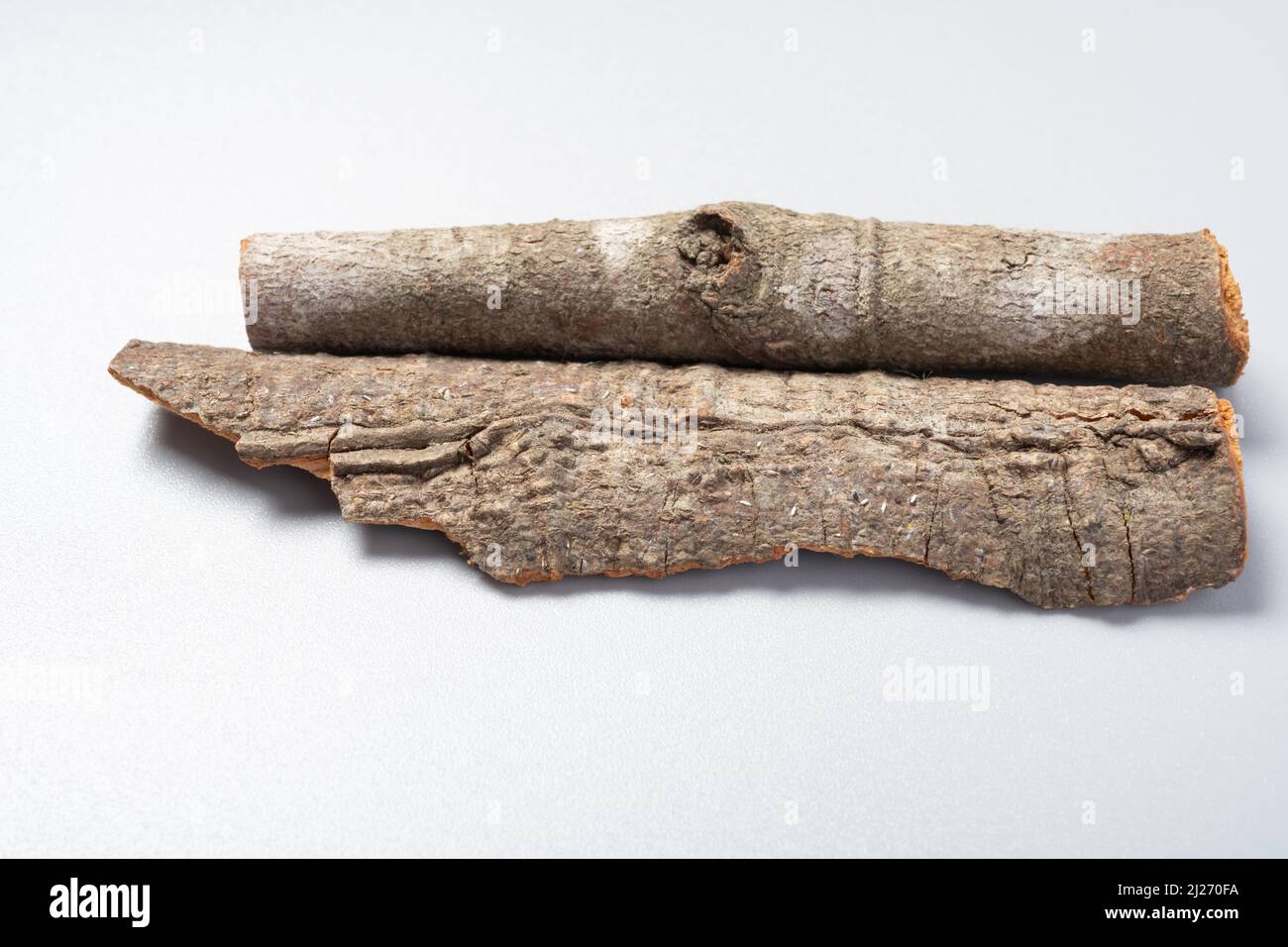 Bark of japanese cinnamon hi-res stock photography and images - Alamy