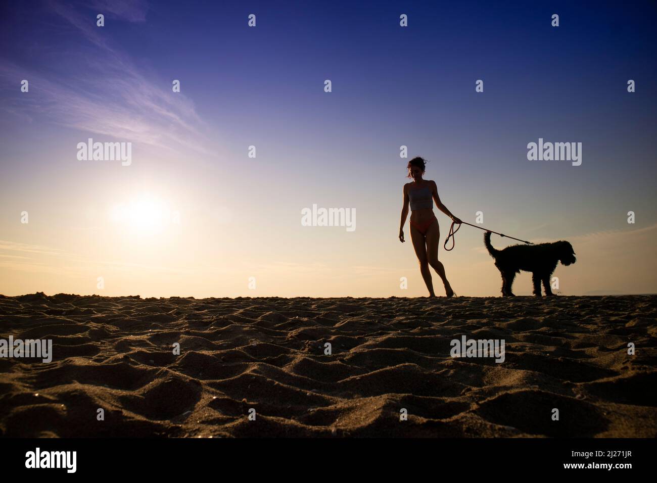 Walk your dog by the sea in the late afternoon Stock Photo - Alamy