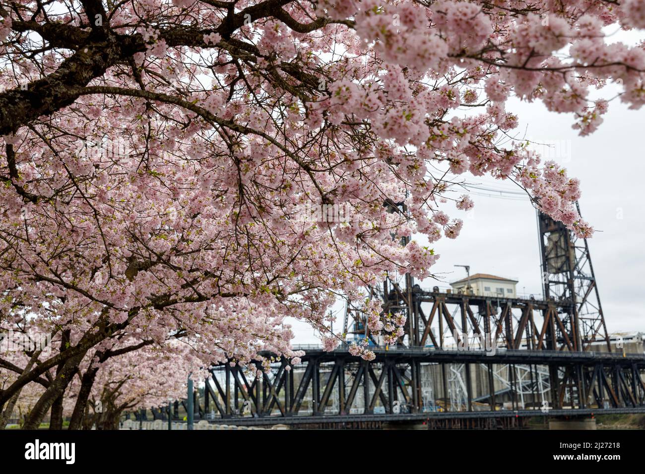 Portland, USA. 28th Mar, 2022. The northern end of the Historical Plaza ...