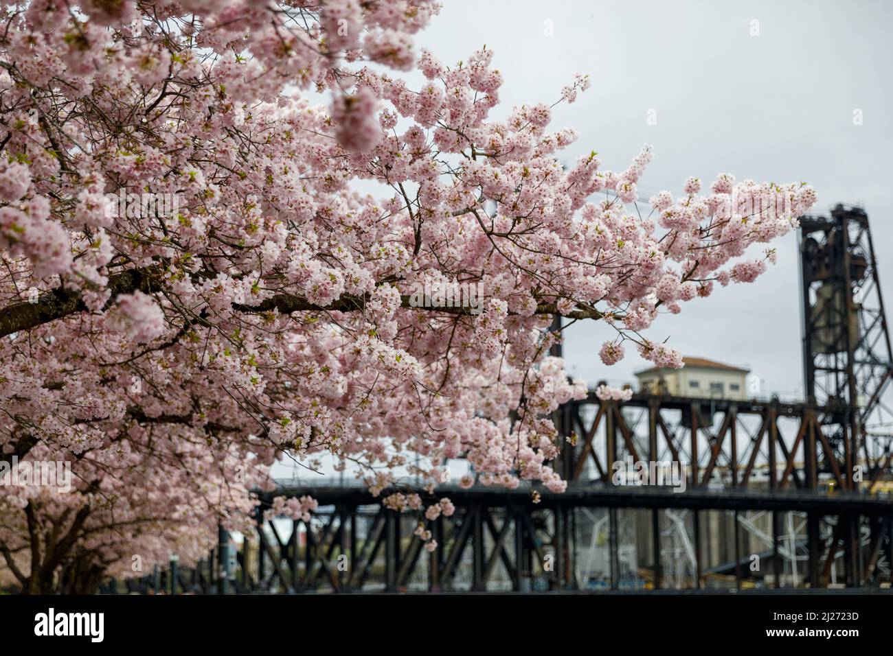 Portland, USA. 28th Mar, 2022. The northern end of the Historical Plaza ...